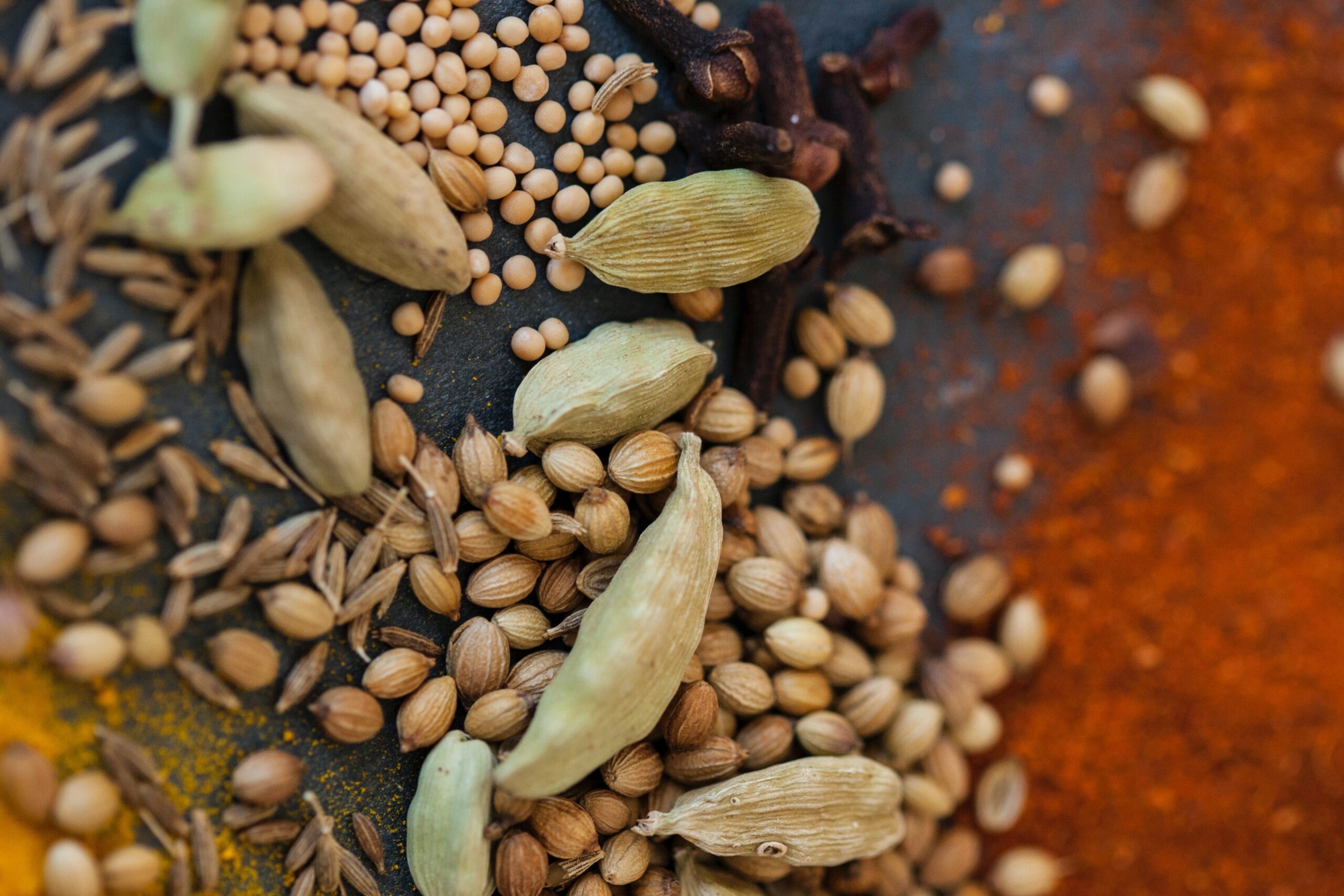 The Story of the Seed – Lifted Hands